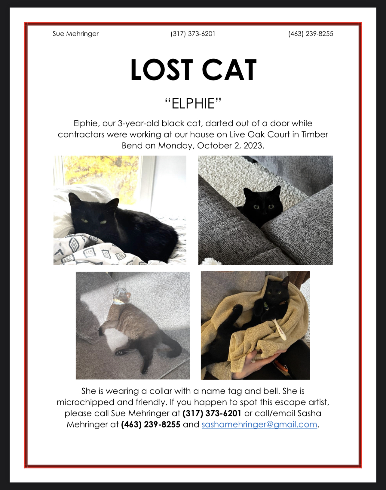 Lost Cat, Alert #62744 Elphie missing near Live Oak Court & Water Oak ...